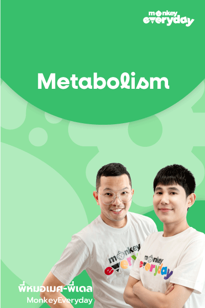 ติวเข้ามหาลัย TGAT TPAT A-Level | MonkeyEveryday