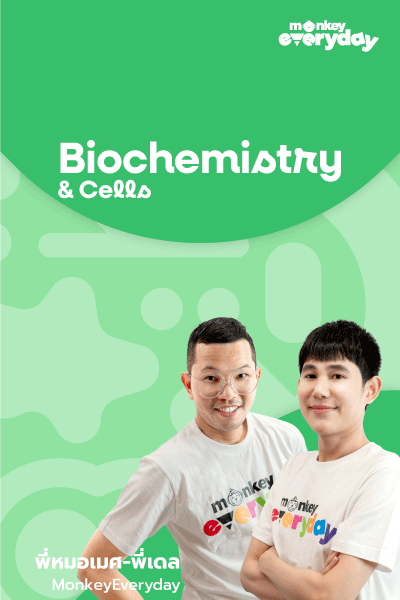 ติวเข้ามหาลัย TGAT TPAT A-Level | MonkeyEveryday